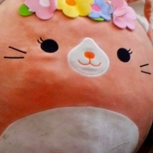 Squishmallows | Other | Squish Mellow | Poshmark